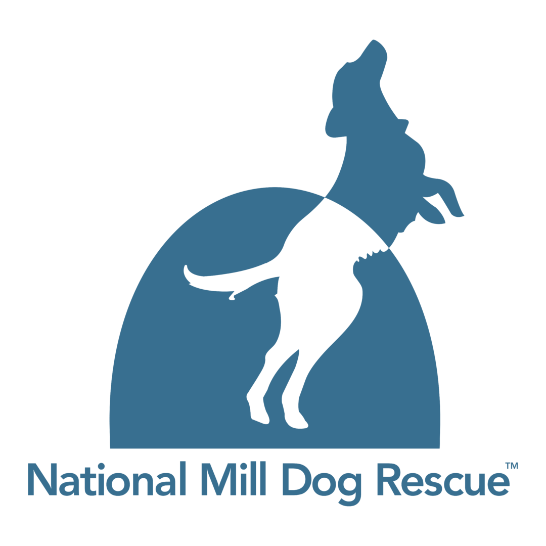 Available Dogs - National Mill Dog Rescue