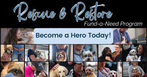 Happening Now - National Mill Dog Rescue